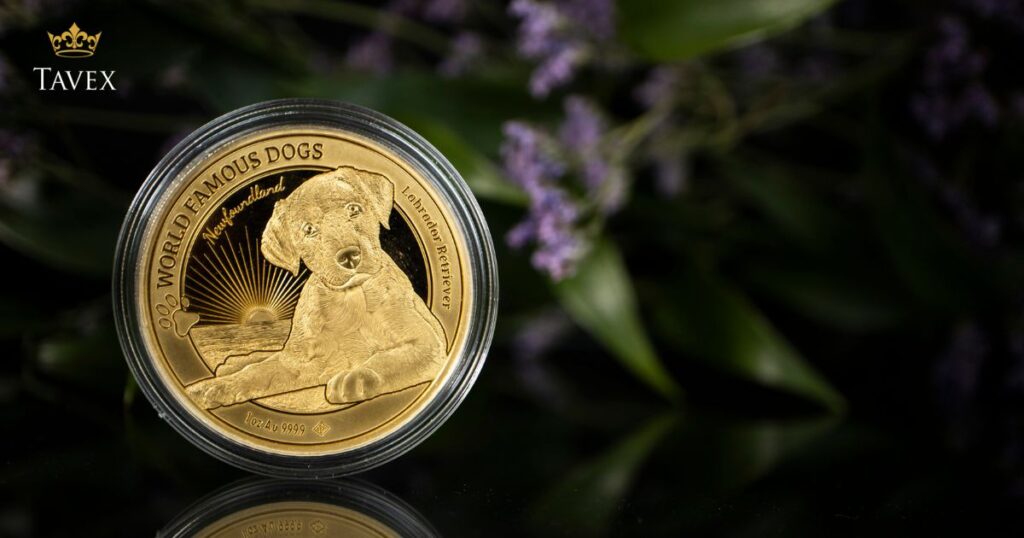 1 oz World Famous Dogs Labrador Gold Coin | Tavex
